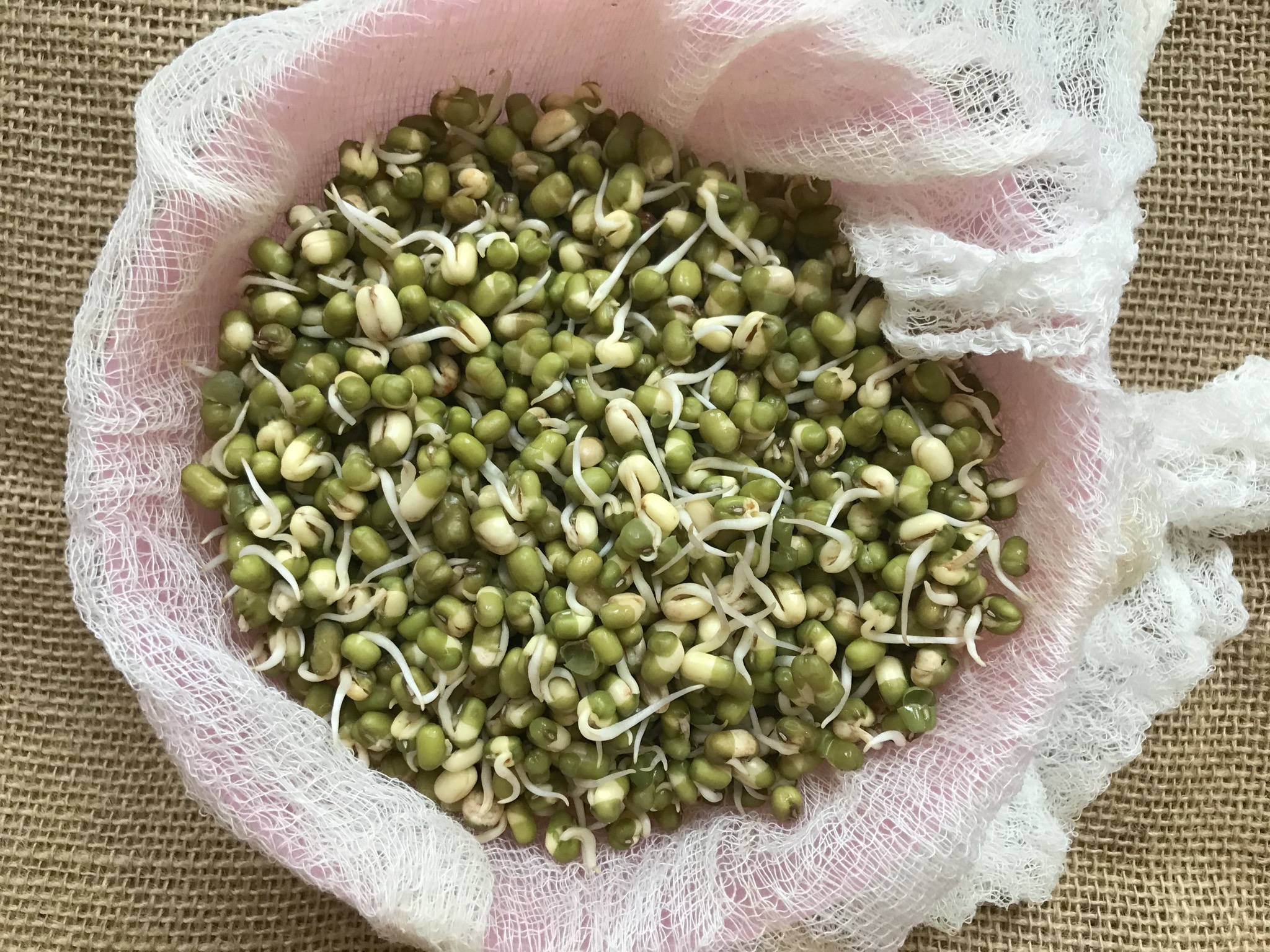 How To Make Sprouts At Home - Polka Dots And Curry